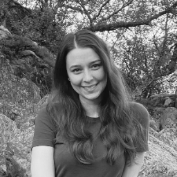 Dreyer Design - Webflow